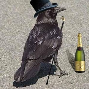 Ravensqer Valorant Coaching and Lessons | ProGuides